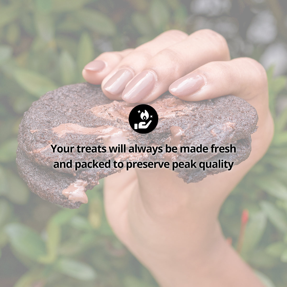 (Cookies) Buy 3 Get 1 Free – Coho